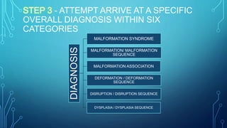 Human dysmorphism introduction | PPTX