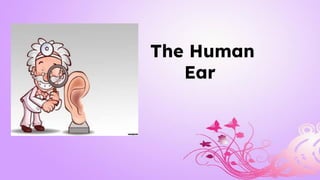 Human ear human human ear rmear ndnd.pdf