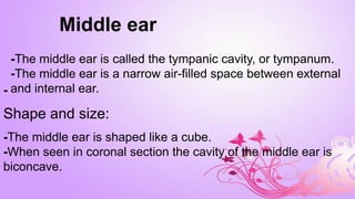 Human ear human human ear rmear ndnd.pdf