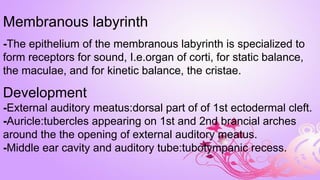 Human ear human human ear rmear ndnd.pdf