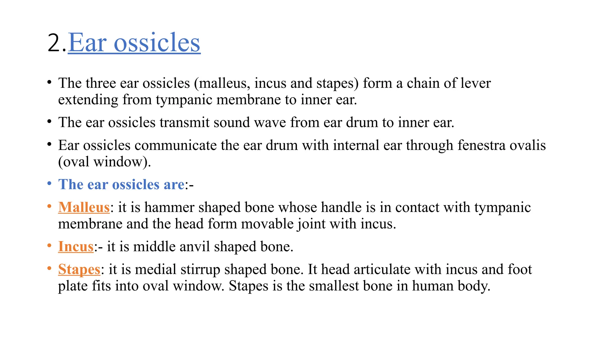 HUMAN EAR. THE EAR PERFORMS THE FUNCTIONS OF HEARING AND EQUILIBRIUM.pptx