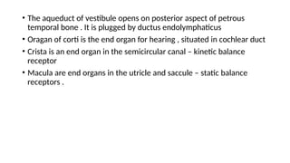 human ear parts along with details anatomy | PPTX