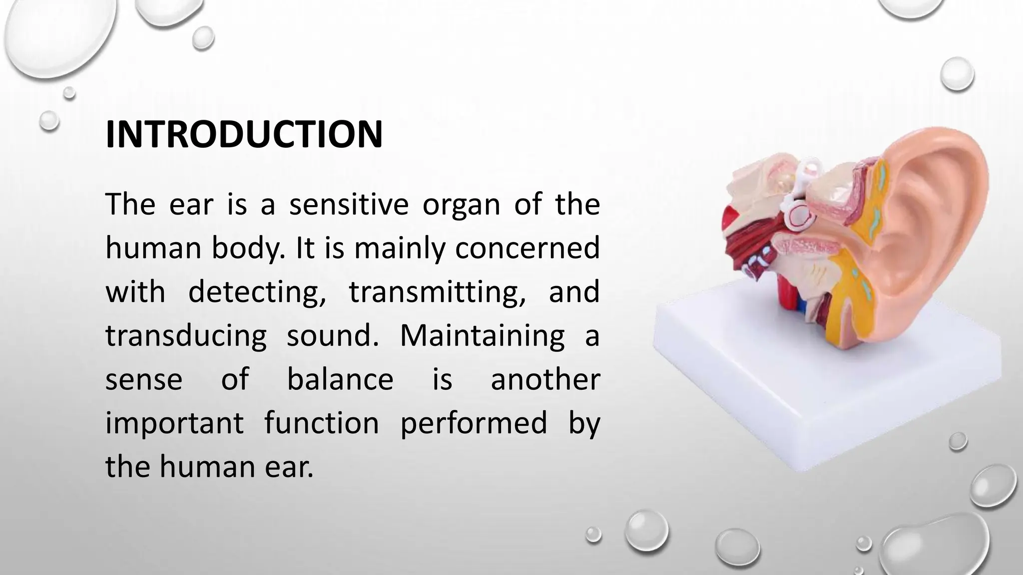 Human_Ear_PPT research about human ear [1].pptx