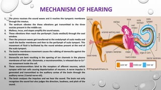Human_Ear_PPT research about human ear [1].pptx