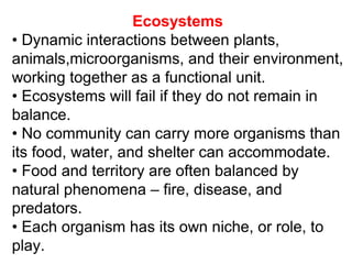Human effect in environment | PPT