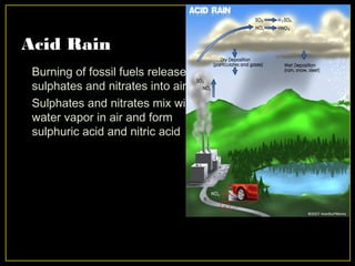 human effects on environments.pdf
