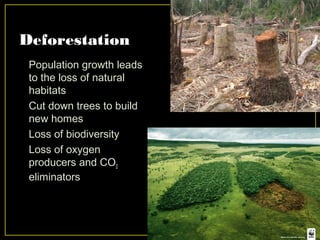 human effects on environments.pdf