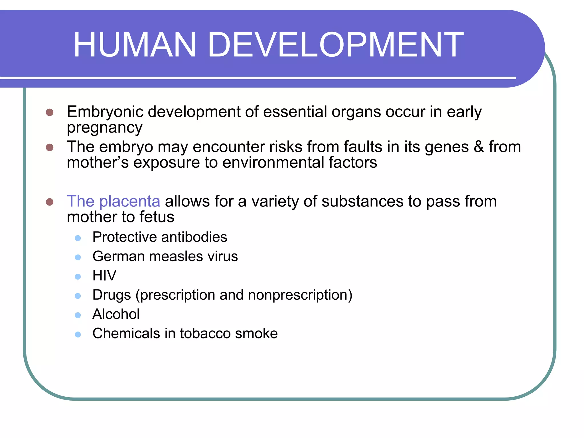 human embrionical development-1.ppt