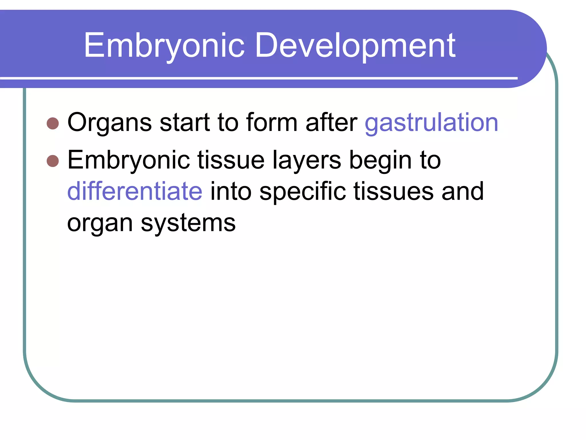 human embrionical development-1.ppt