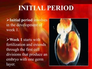 Austin Biology | PPT