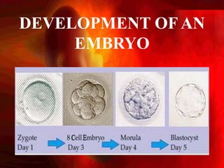 Austin Journal of Aquaculture and Marine Biology | PPT