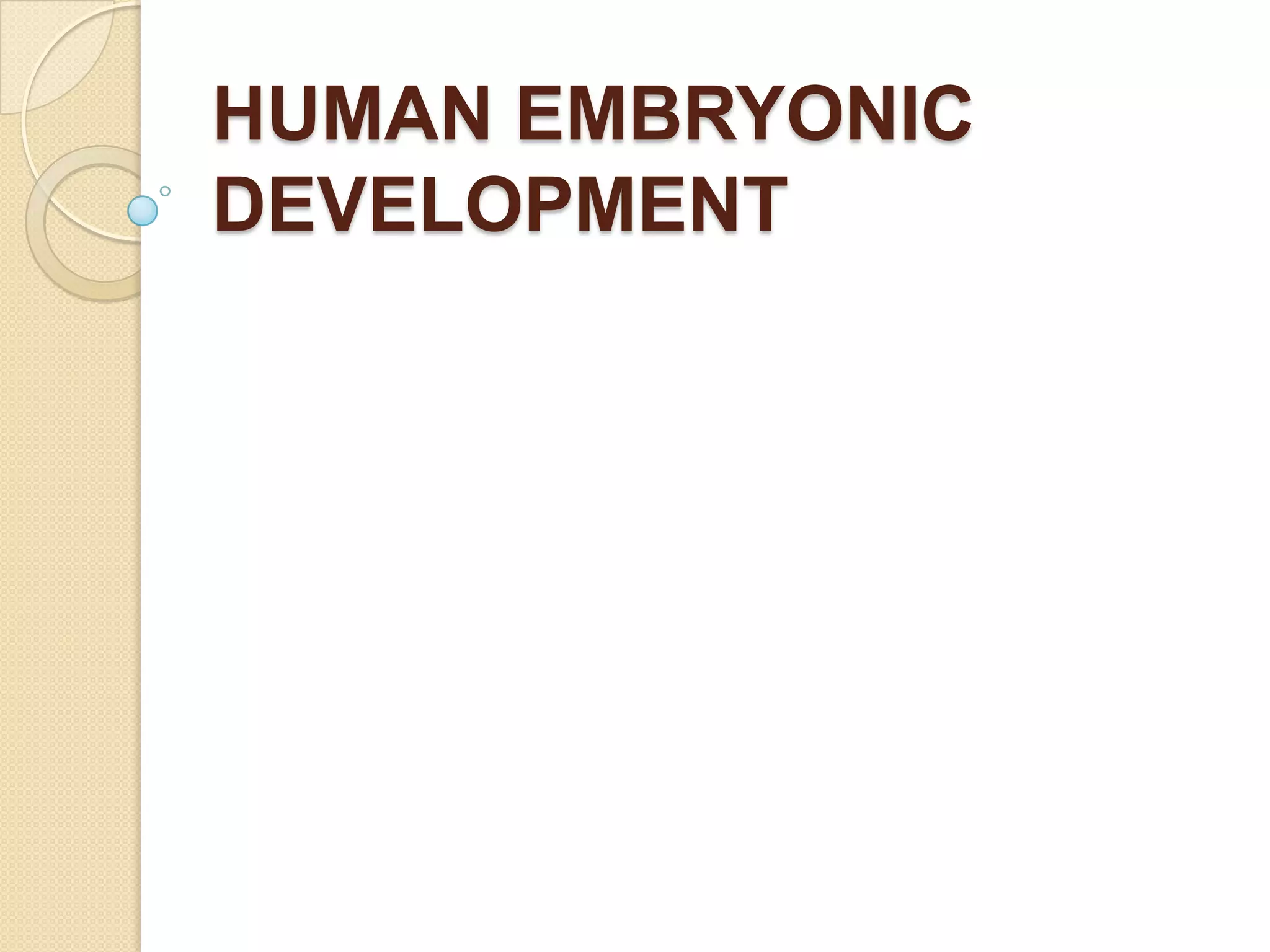 Human embryonic development | PPSX