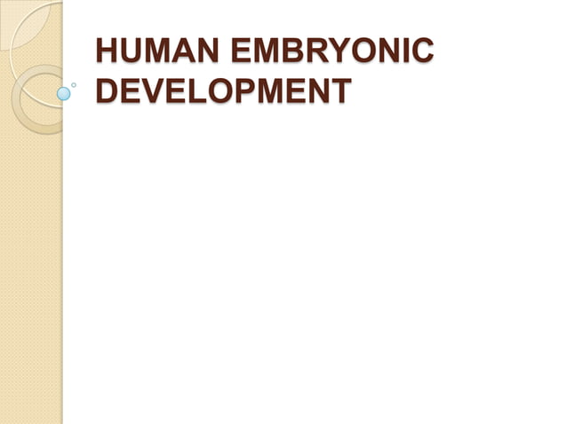 Human embryonic development | PPT