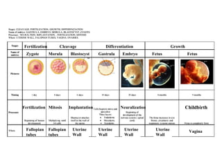 humanembryonicdevelopment-141015070629-conversion-gate02 (1).pdf
