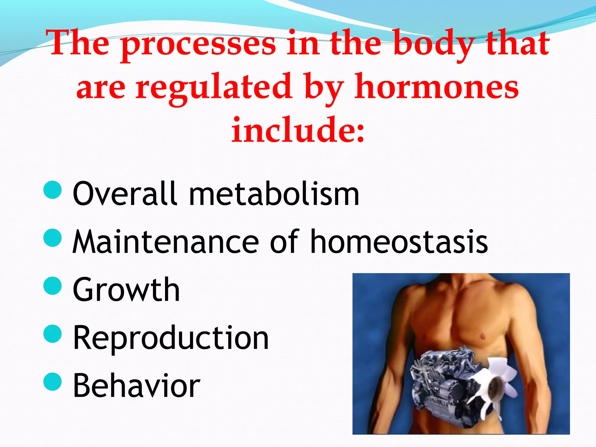Human endocrine system | PPT
