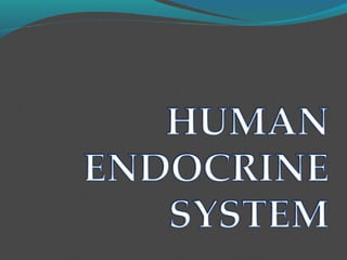 Human endocrine system | PPT