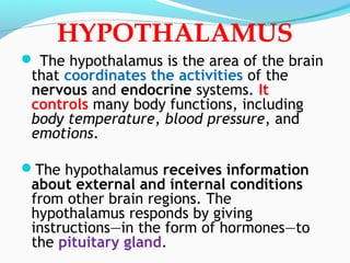 Human endocrine system | PPT