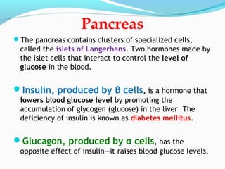 Human endocrine system | PPT