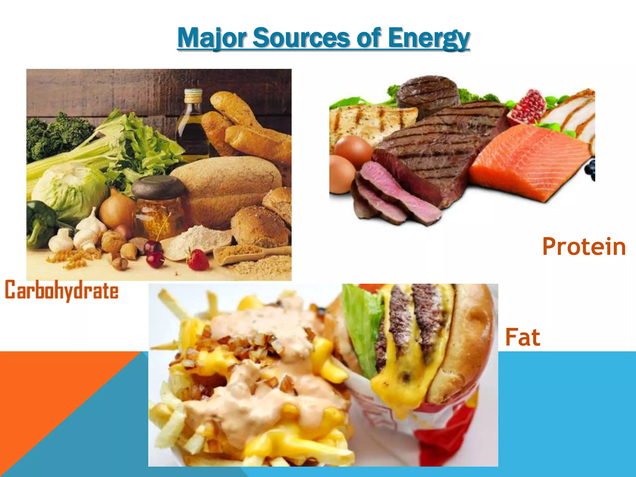 Human Energy | PPTX