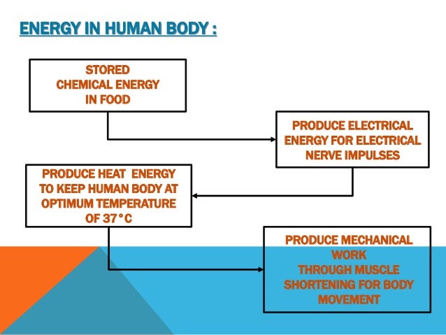 Human Energy