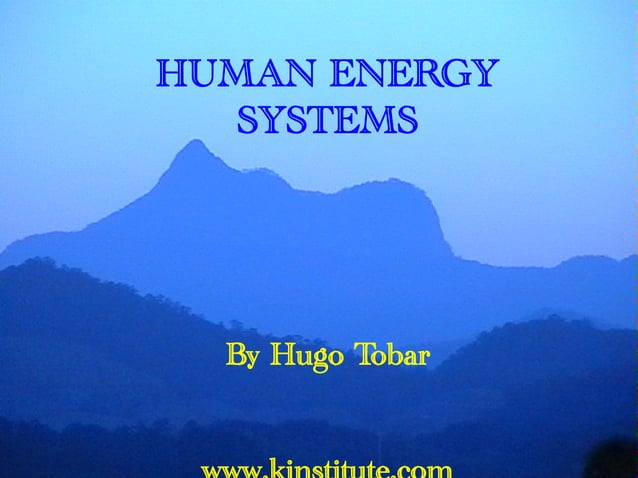 Human Energy System | PDF