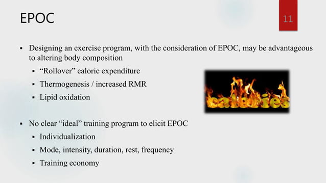 Human Energy Transfer During Exercise | PPT
