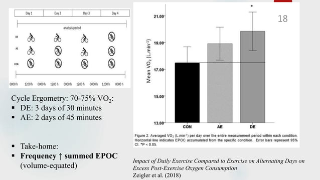 Human Energy Transfer During Exercise | PPT