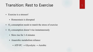 Human Energy Transfer During Exercise | PPTX