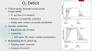 Human Energy Transfer During Exercise | PPTX