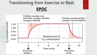 Human Energy Transfer During Exercise | PPTX