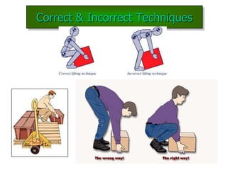 Human engineering | PPTX
