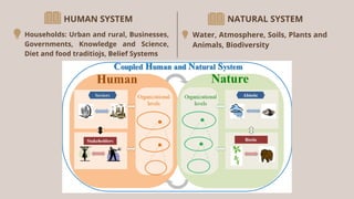 HUMAN ENVIROMENT SYSTEMS.pdf......................s | PDF