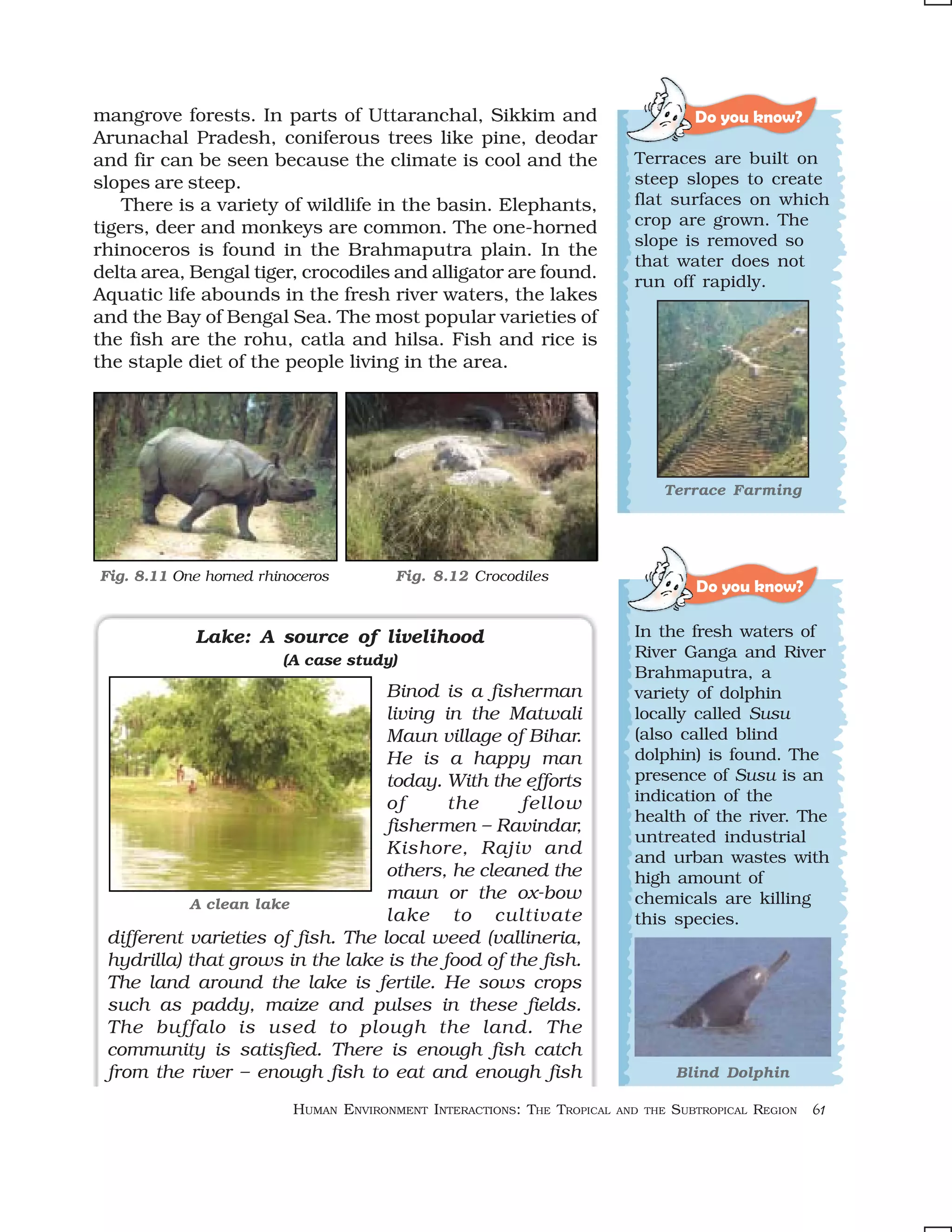 Human environment interactions | PDF