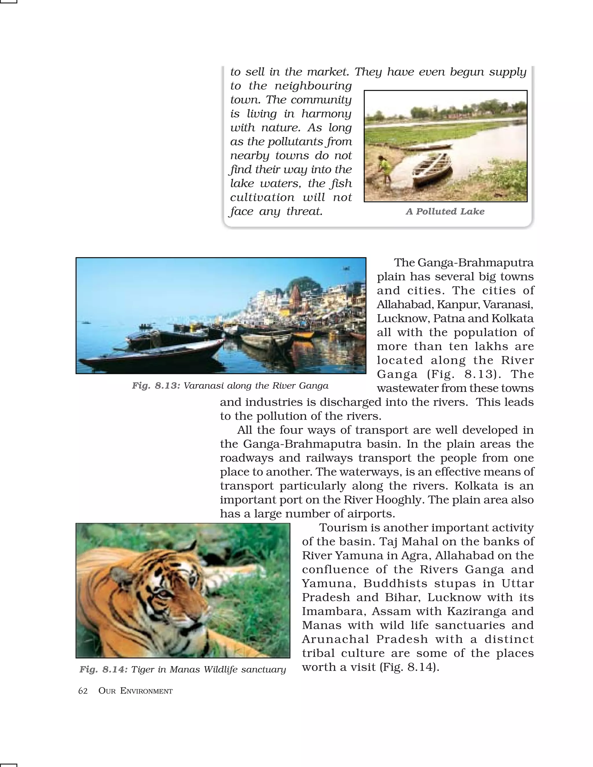 Human environment interactions | PDF