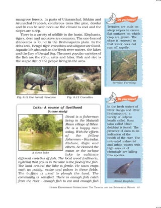 Human environment interactions | PDF