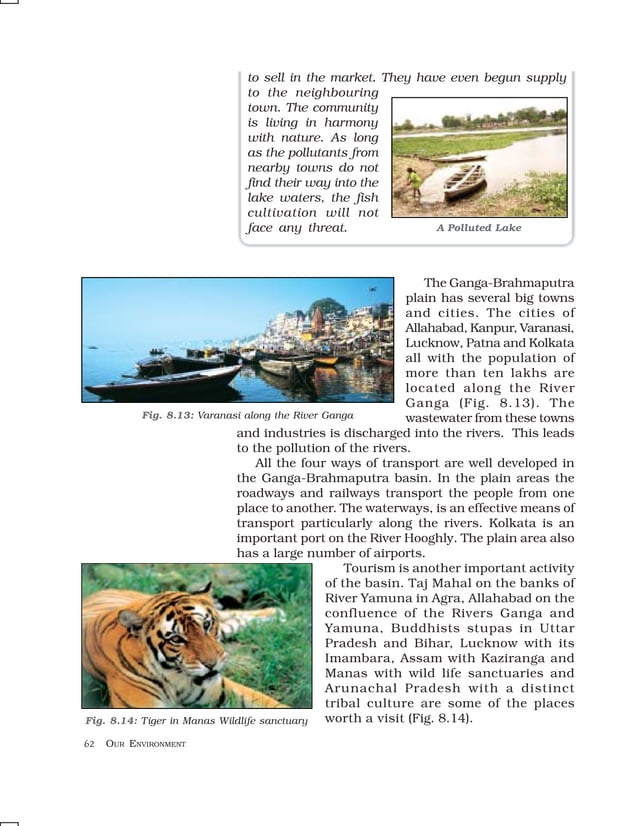 Human environment interactions | PDF