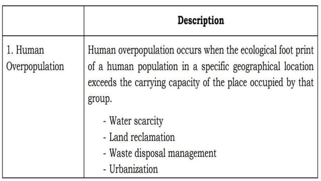 HUMAN ENVIRONMENT SYSTEM.pptx