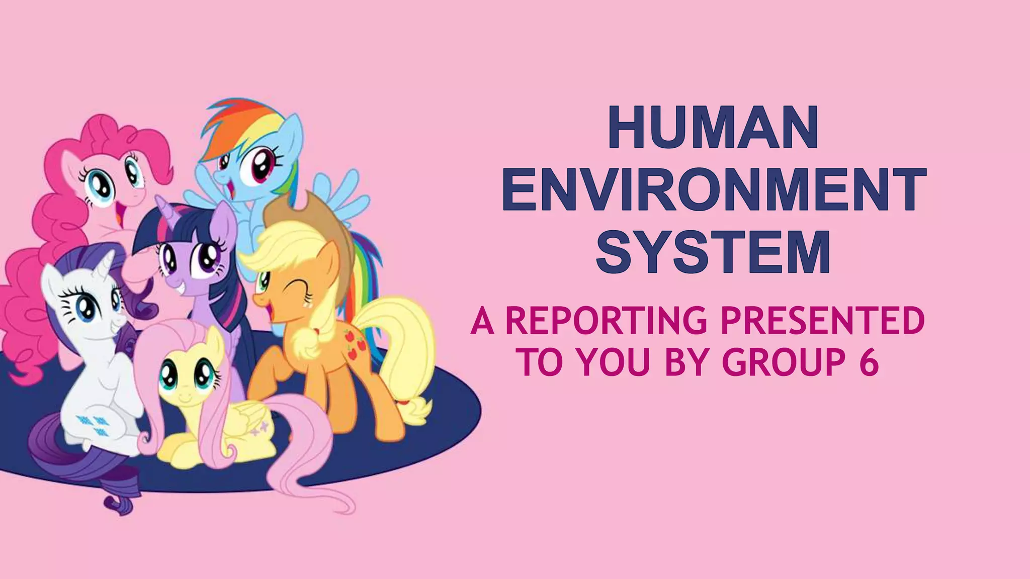 HUMAN ENVIRONMENT SYSTEM.pptx