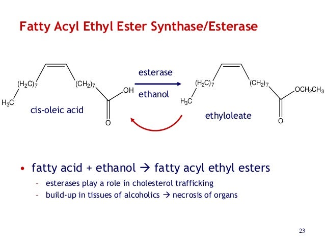 Human esterases: Chemical and Biochemical Considerations