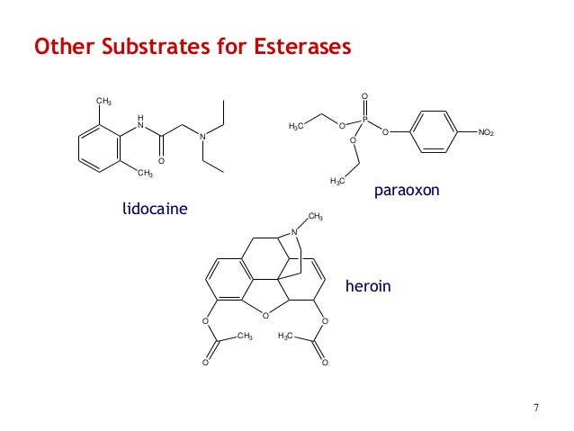 Human esterases: Chemical and Biochemical Considerations
