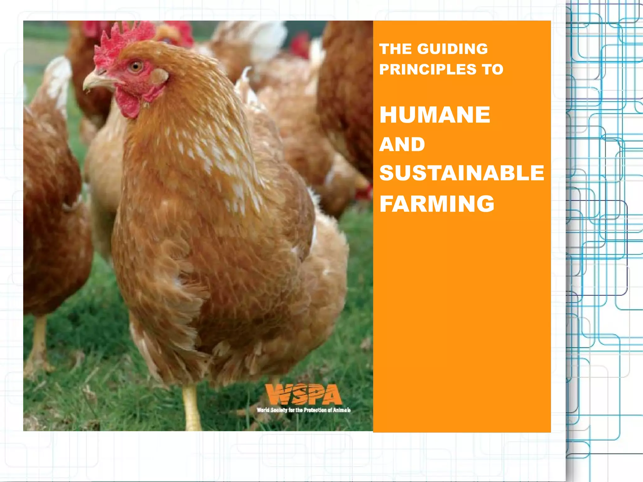 Humane and Sustainable Farming | PPT