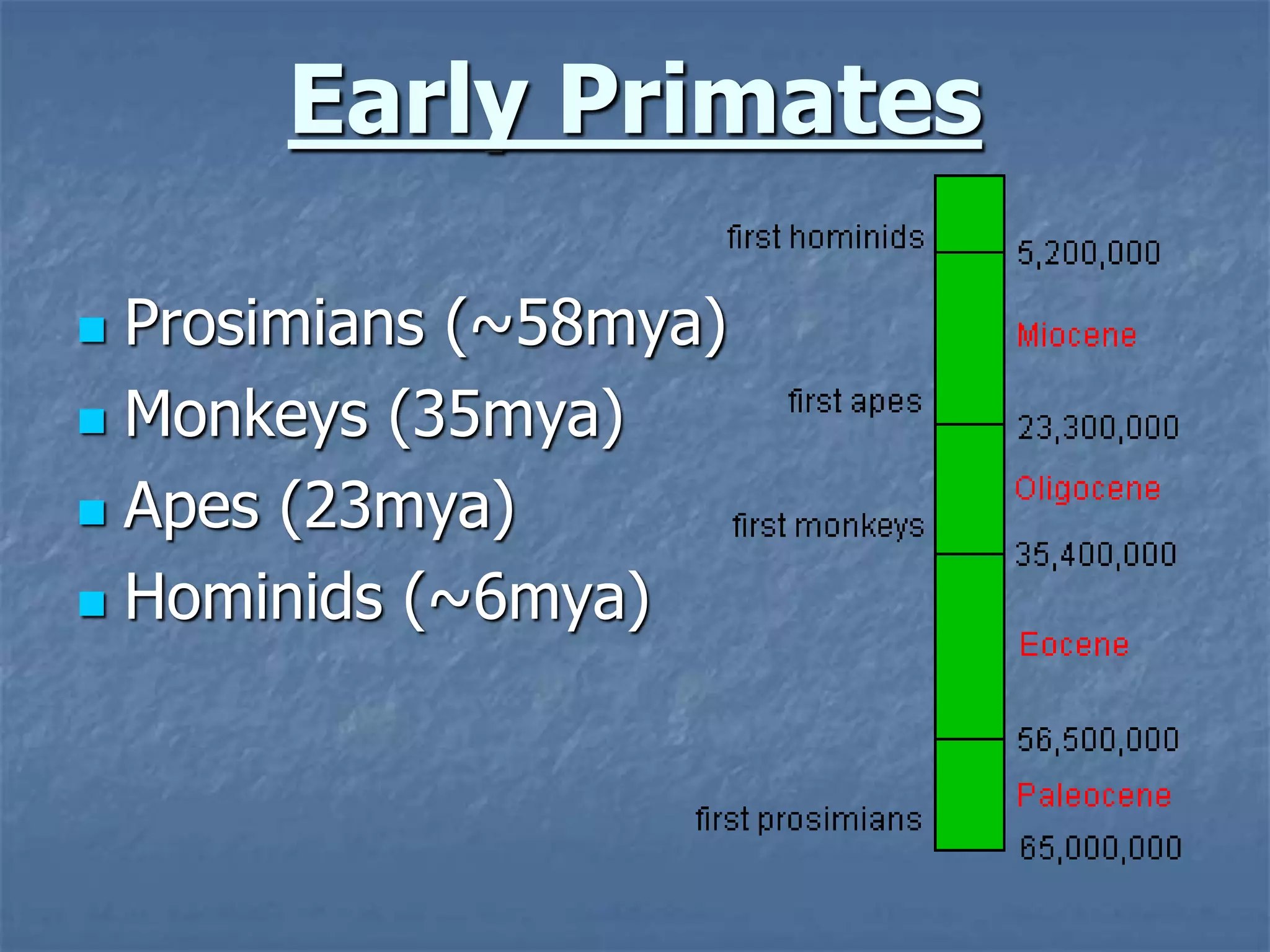 Human Evolution-102 online notes.pptx