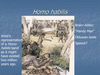Human Evolution-102 online notes.pptx
