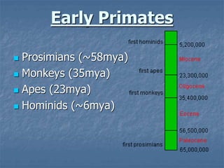 Human Evolution-102 online notes.pptx