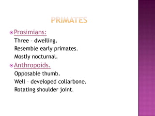 Human evolution | PPTX