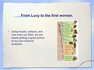 Human evolution | PPT