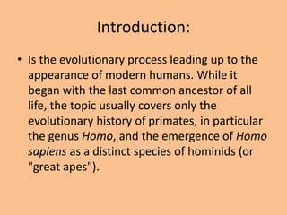 Human evolution (presentation #4 biology l2 project) | PPTX