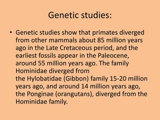 Human evolution (presentation #4 biology l2 project) | PPTX
