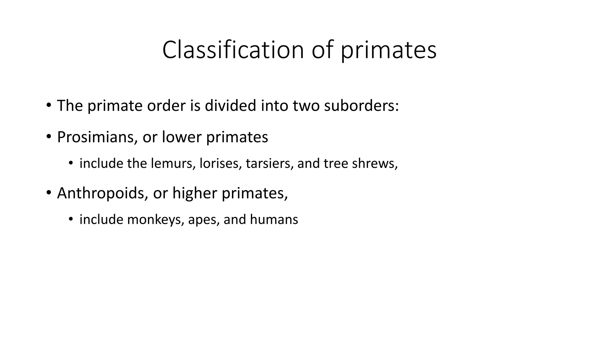 Human Evolution | PPTX