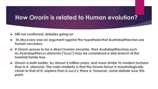 Human evolution | PPTX